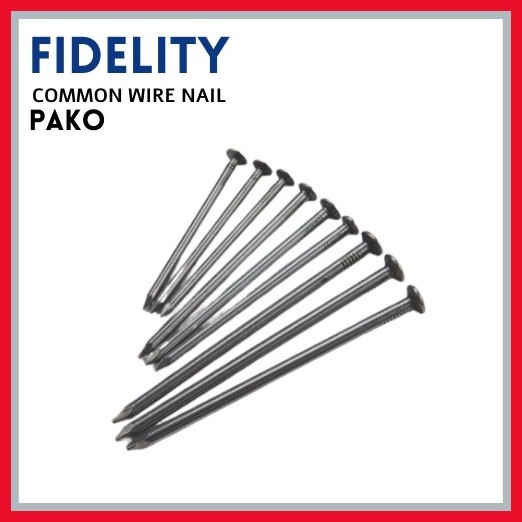 FIDELITY COMMON WIRE NAIL PAKO (1kg)(1/2kg)(1/4kg) | Shopee Philippines