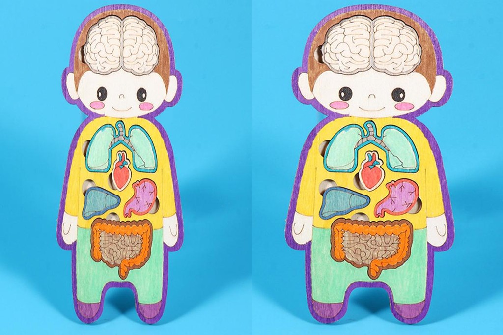 Wandereve| Wooden Body Puzzle Hands-on Anatomy Puzzle Body Puzzle Game ...