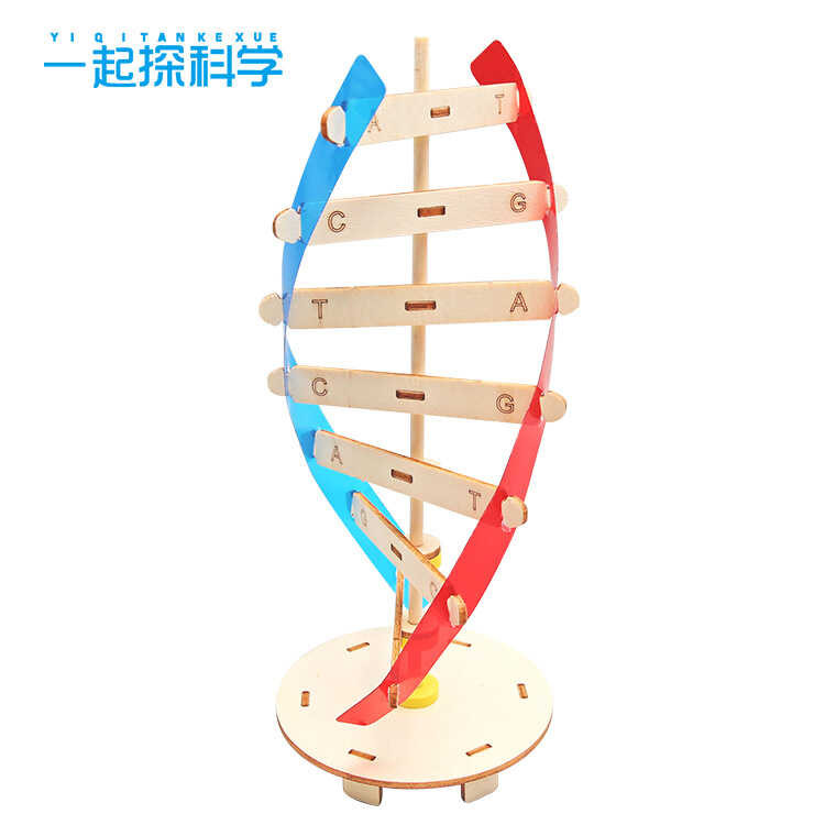 DNA Double Helix Structure Model Technology Small Maker Handmade DIY ...