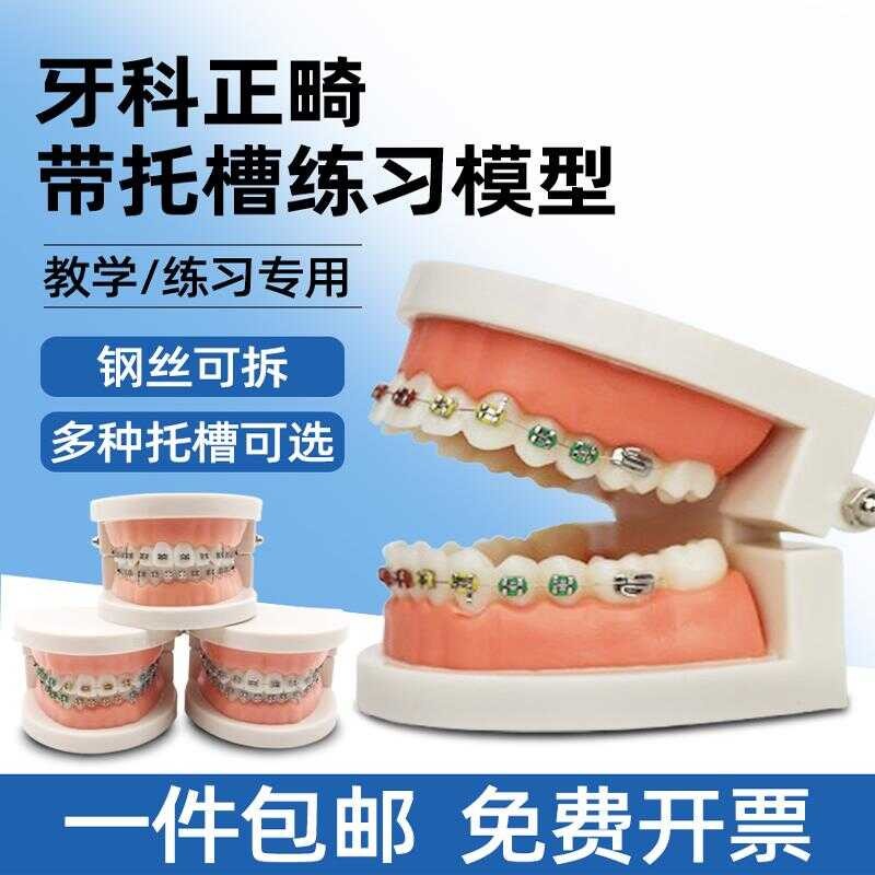 Orthodontics na may brackets, fake teeth model correction, student ...