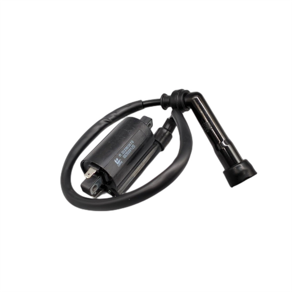 Motorcycle 6 Ignition Coil With Wire & Plug Cap spark plug ignition ...