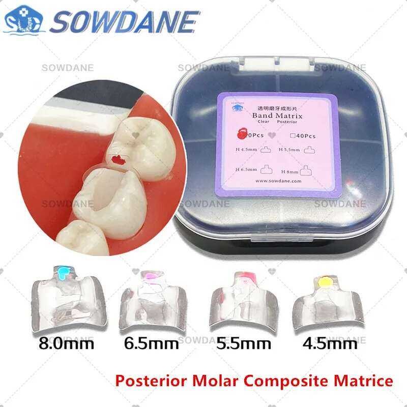 Dental Clear Matrix Bands Transparent Matrice Posterior Molar Composite ...
