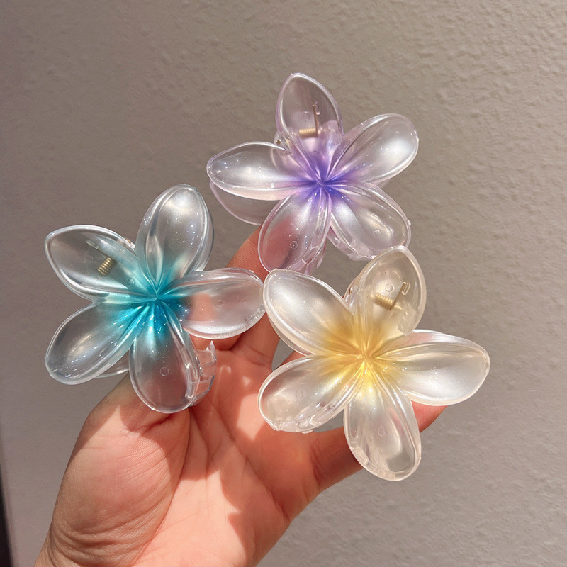 6pcs/set Flower Hair Clamp Set for Women Transparent Mermaid Hime ...