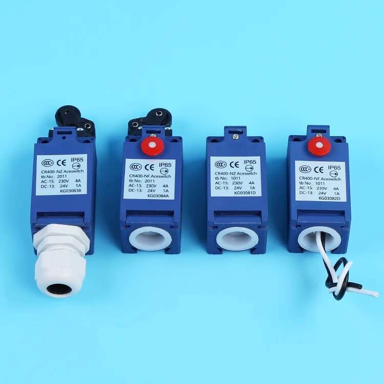 Ang elevator CR400-NZ/NF ay angkop para sa limit switch ng Otisen para sa rope pulley buffer ni ...