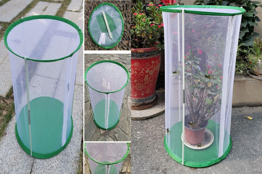 Mini Greenhouse for Plants Cylinder Shape Butterfly Habitat Tent Mini ...