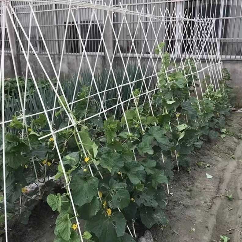 fiberglass Cucumber frame, plant fixed support rod, tomato frame ...
