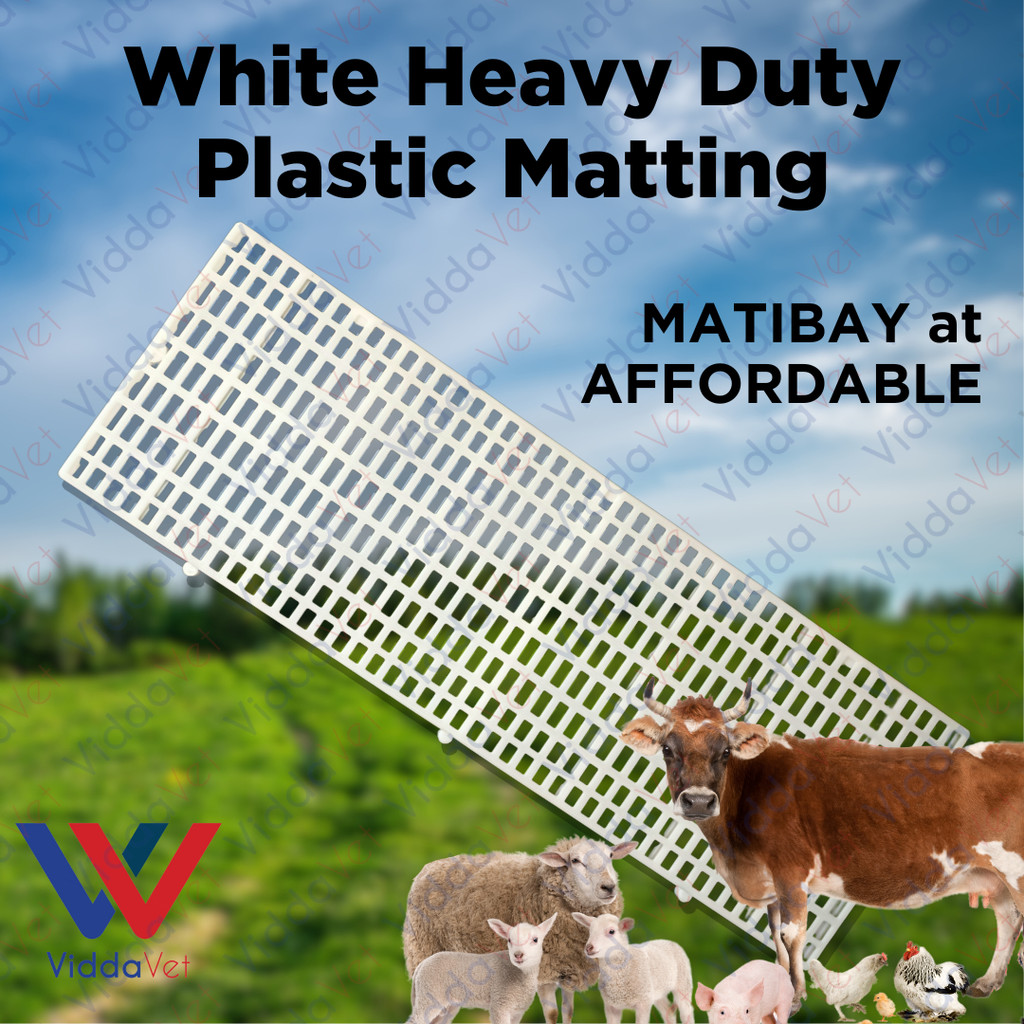 Viddavet 10pcs 1x3 Plastic Mattings White for pigs and dogs mattings ...