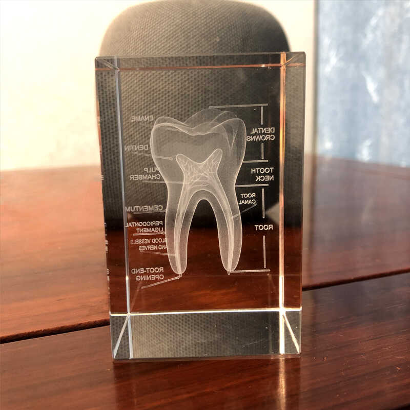 Anatomical Human 3D Model Paperweight Laser Etched Tooth Crystal Glass ...