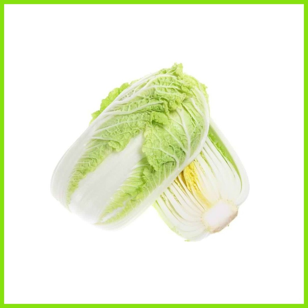 ♒ Sun Star Chinese Napa Cabbage / Pechay Baguio Vegetable Seeds ( 2000 ...