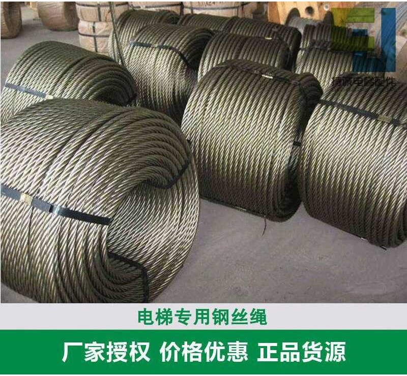 Elevator host, traction machine, speed limiter, layer door device ...