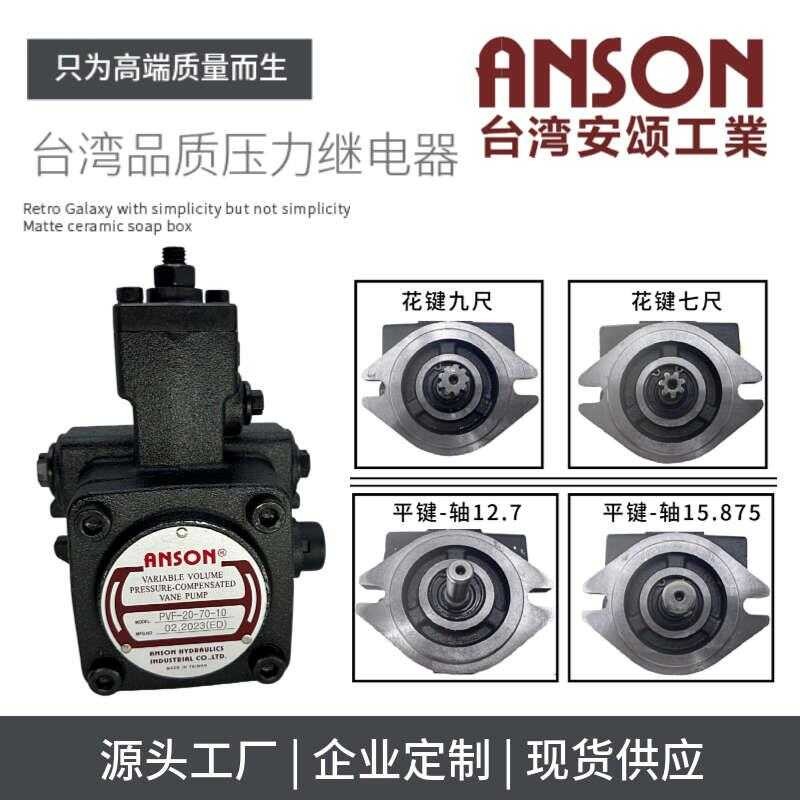 PVF-20-70-10 Anson ANSON oil PVF-40-70-11S/30/12/15-10S/11 vane pump | Shopee Philippines