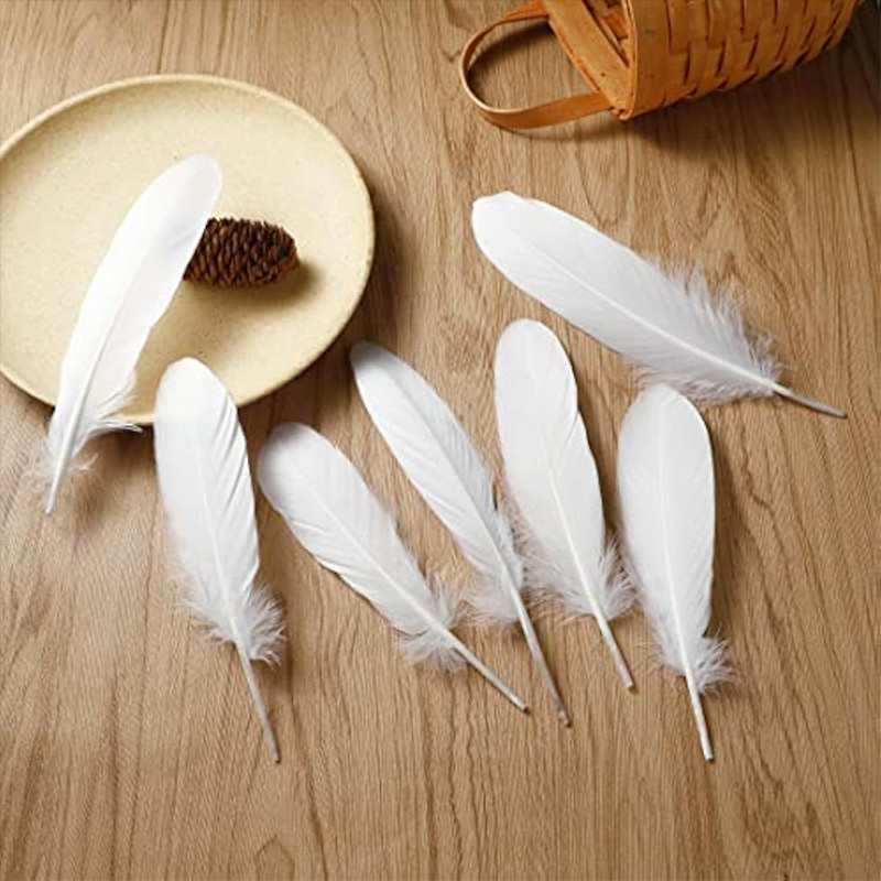 50Pcs White Pheasant Feathers Crafts Natural Feathers White Feather ...