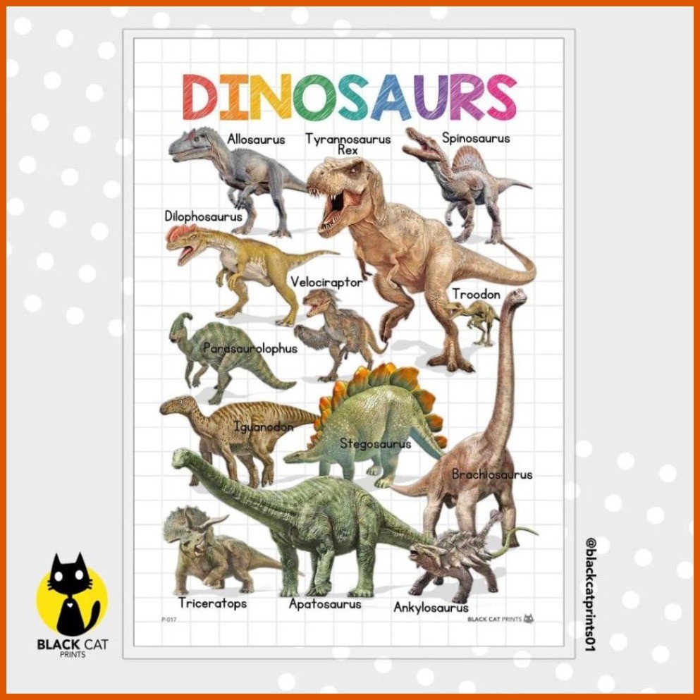 ↙ ↑ Dinosaurs Educational Chart Poster (High Quality Print / A4 Size ...