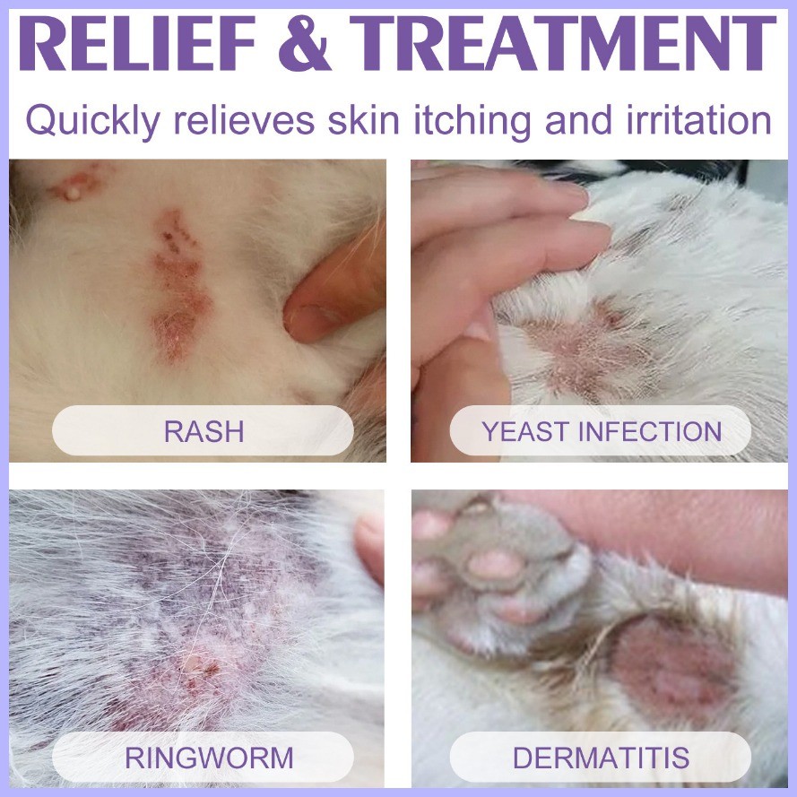 Dogs Cats Anti fungal Spray Pet Spray For Skin Disease 60ML Galis Ng ...
