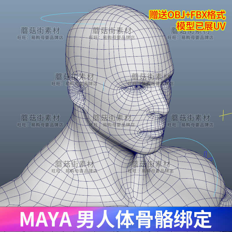 MAYA Male Body Model Skeleton Binding Maya Male Physical Skeleton obj ...