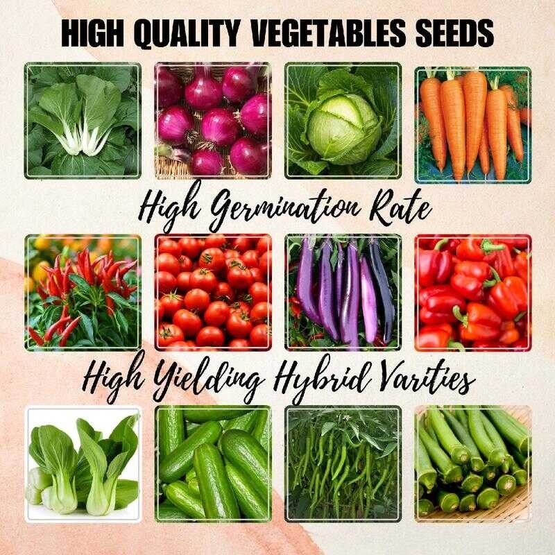 Vegetable Seeds Pechay Kamatis Sili Talong Ampalaya Kangkong Okra Sitaw ...
