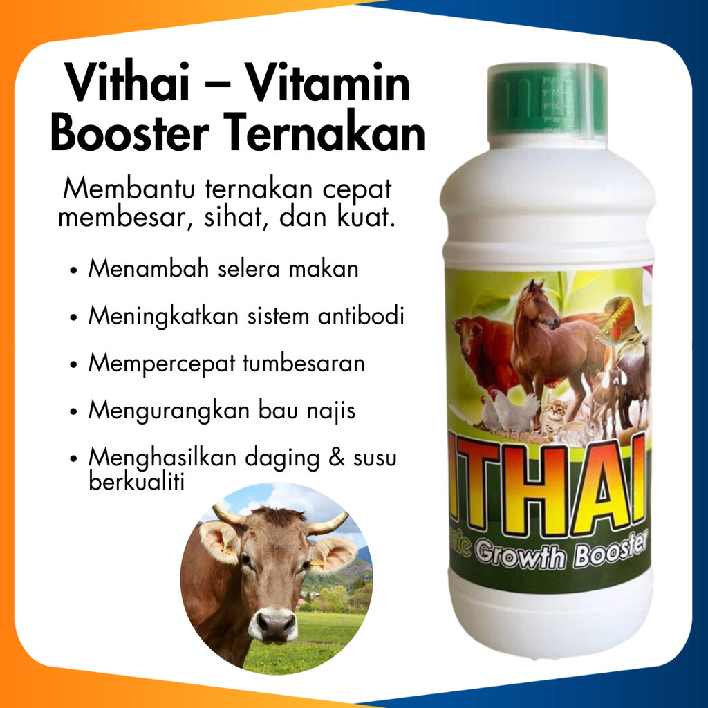 [1L] Vithai - BOOSTER LEMBU VITAMIN & SUPPLEMENT CONNECTED HORSES ...