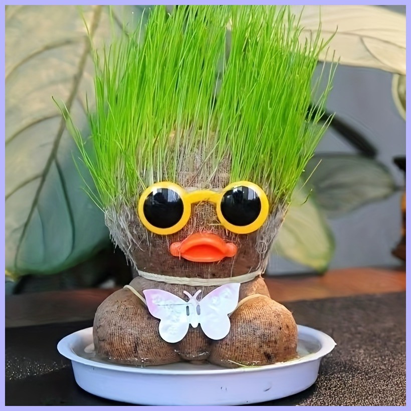 Best store Grass Head Room Decor Children Growing Grass Doll Toys ...
