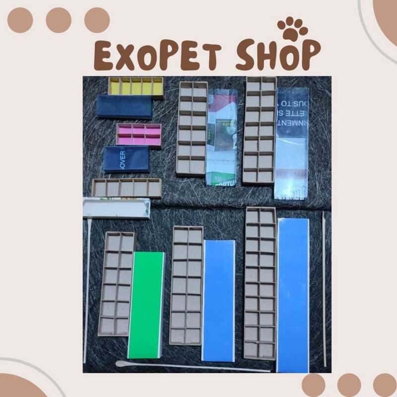 EXOPET SHOP Part 1 Spider Cage, Paletang Kawayan, Lagayan Ng Gagamba ...