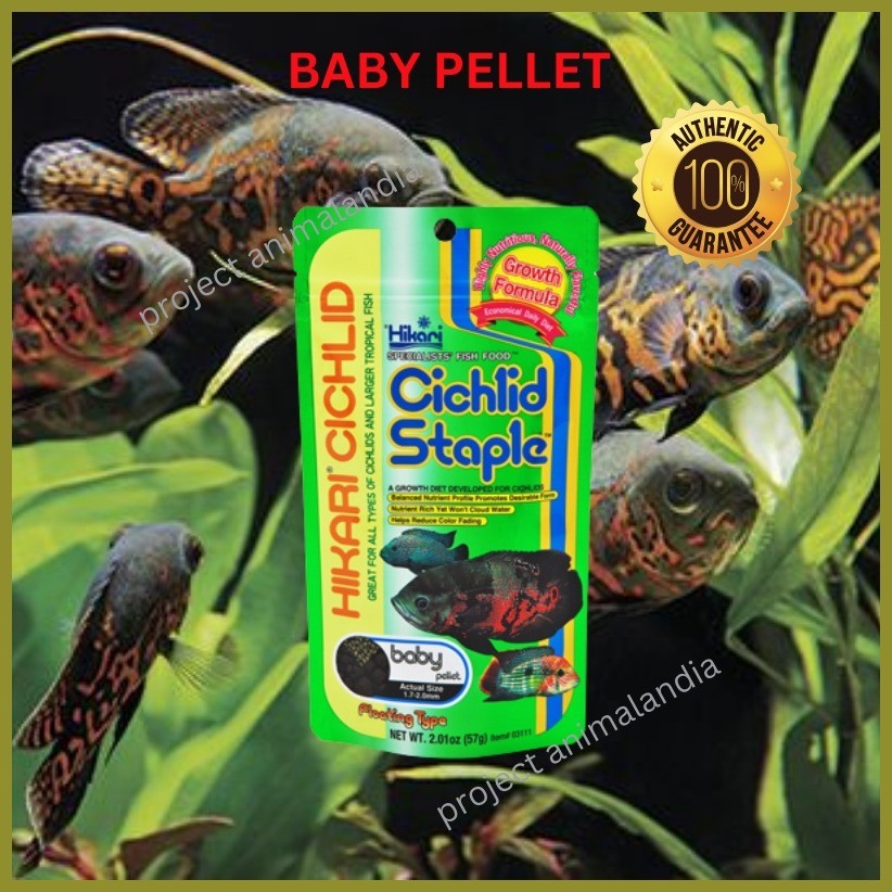 ↖ Hikari Cichlid Staple| Oscar fish food S,M,L Pellets 250g and 57g ...