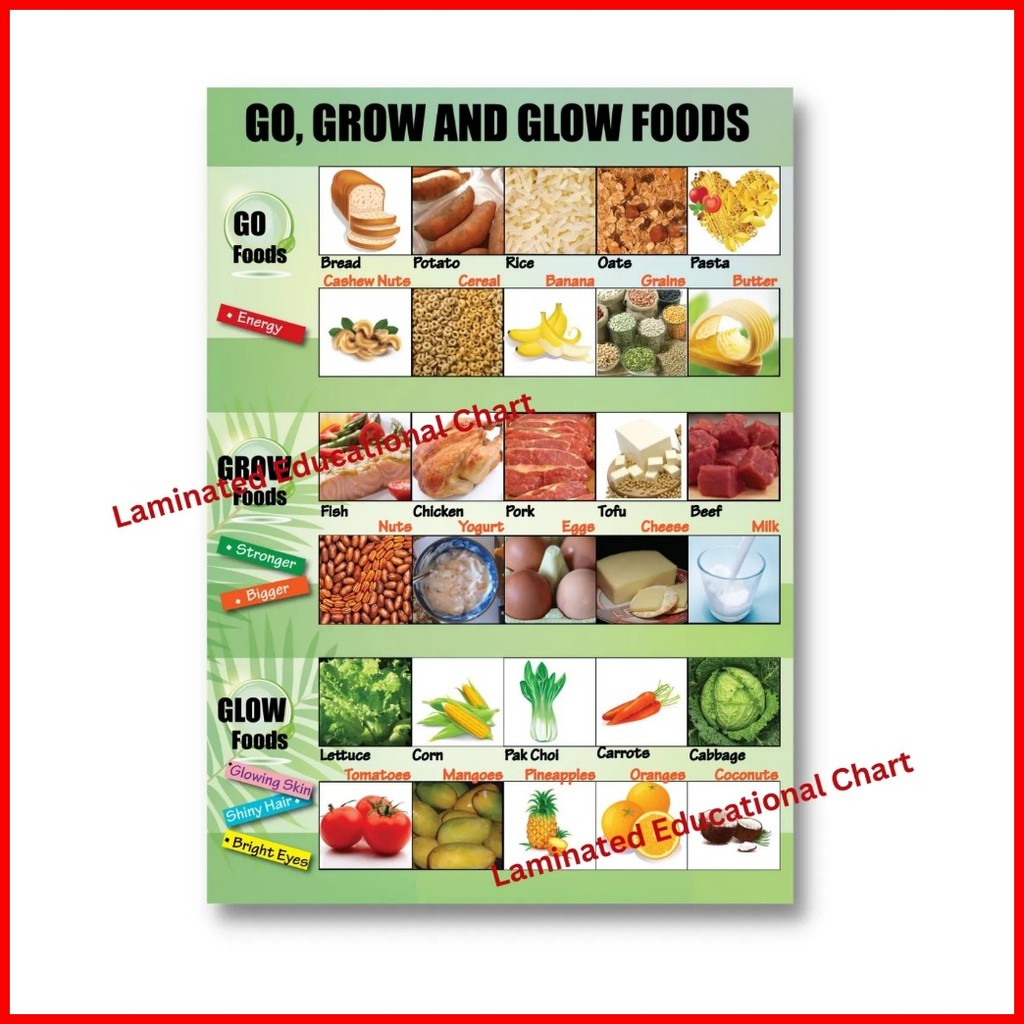 Laminated Go, Grow & Glow Foods Chart for Kids, Learners and Educators ...