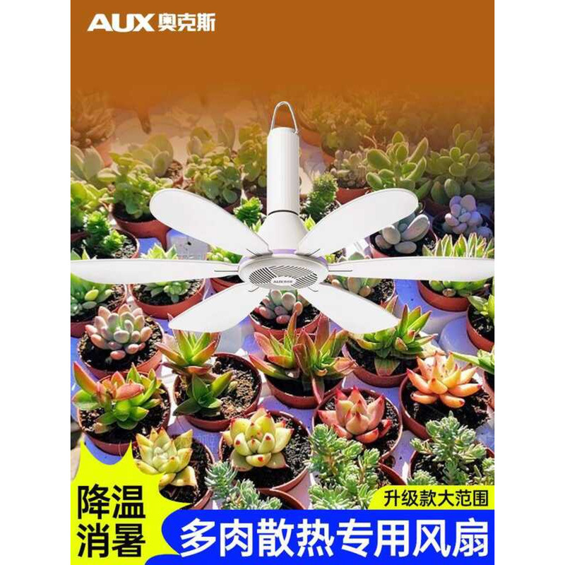 AUX Small Outdoor Succulent Ventilation Plant Pet Student Mini Indoor ...