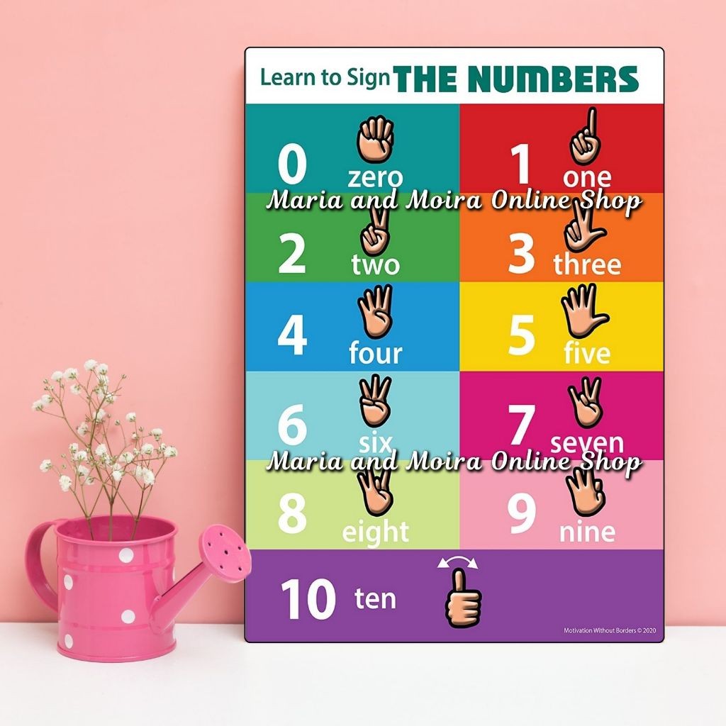 ⊡ ♞,♘,♙AMERICAN SIGN LANGUAGE CHARTS | Laminated & A4 Size ...