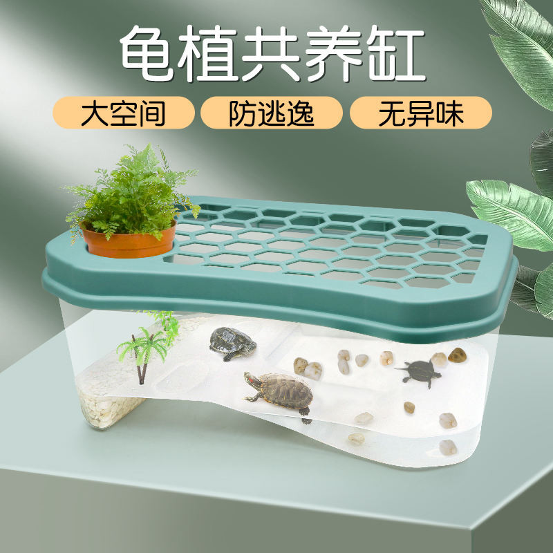 Covered Turtle Tank House Terrace Landscaping Villa Breeding Box ...