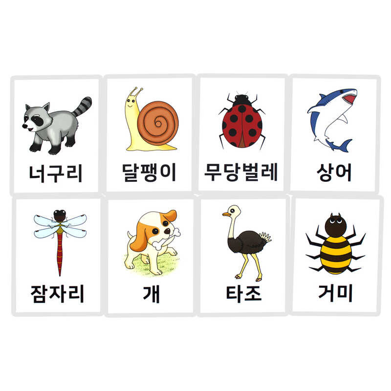 Toddler/Preschool Animal Pocket Cards Baby Montessori Learning Korean ...
