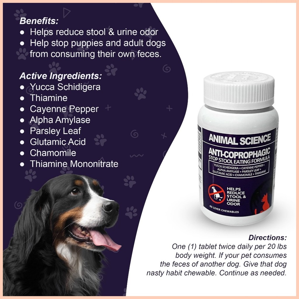 ๑ ۩ ⚽︎ Animal Science Anti-Coprophagic (60 LIVER CHEWABLES) | Shopee ...