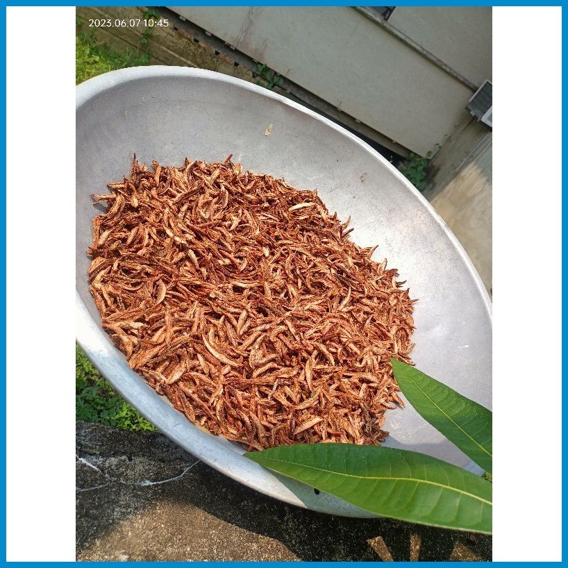 KALAMYAS NA TUYO 250grams /pack | Shopee Philippines