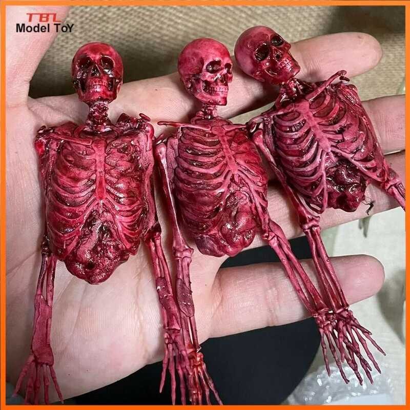 1/12 Scale Half-Body Flesh Blood Skeleton Human Skeleton PVC Model Fit ...