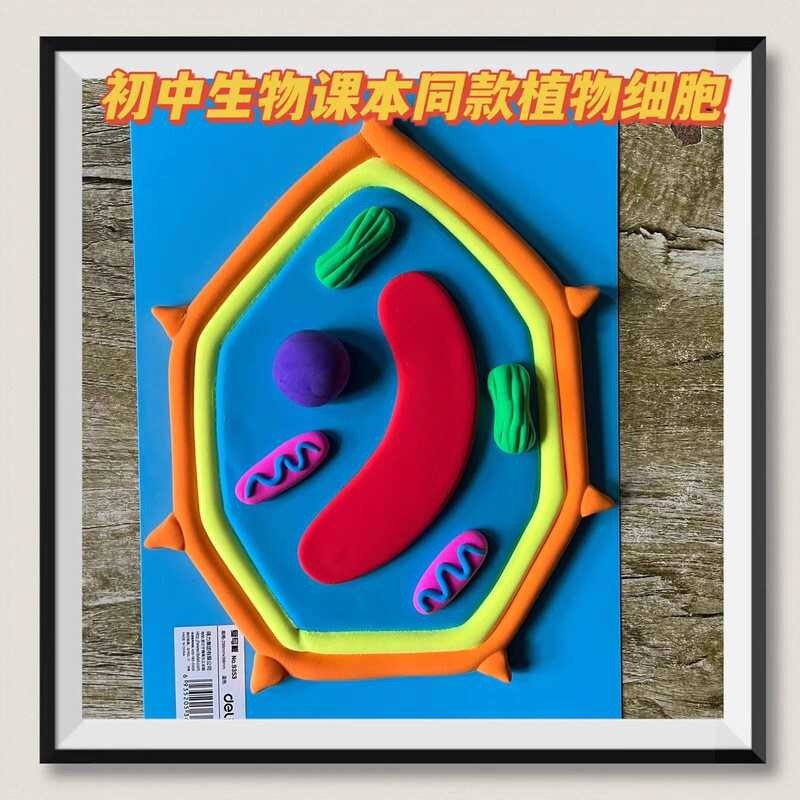 DNA cell middle high school animal product model | Shopee Philippines