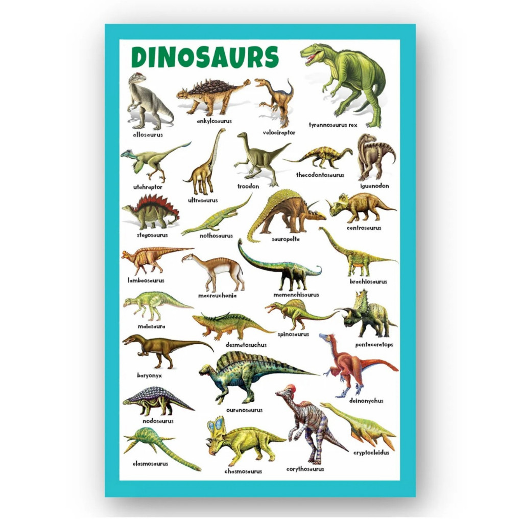 ♞Dinosaur Charts, Laminated Types of Dinosaur Charts for Kids, Learners ...