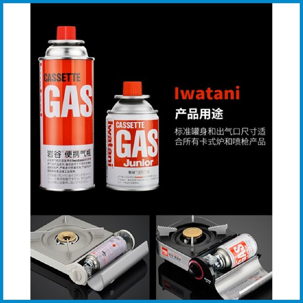 VIERSEN 4pcsx220g Safe Iwatani Butane Gas for Portable Gas Stove ...