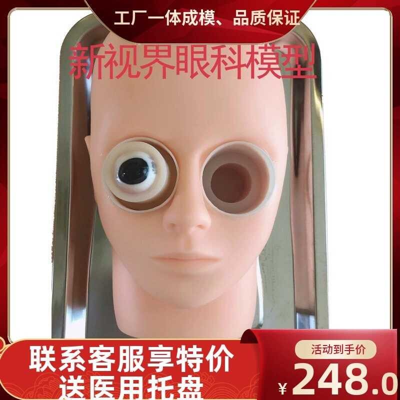 Ophthalmic Surgery Practice Model Ophthalmic Head Model Ophthalmic ...