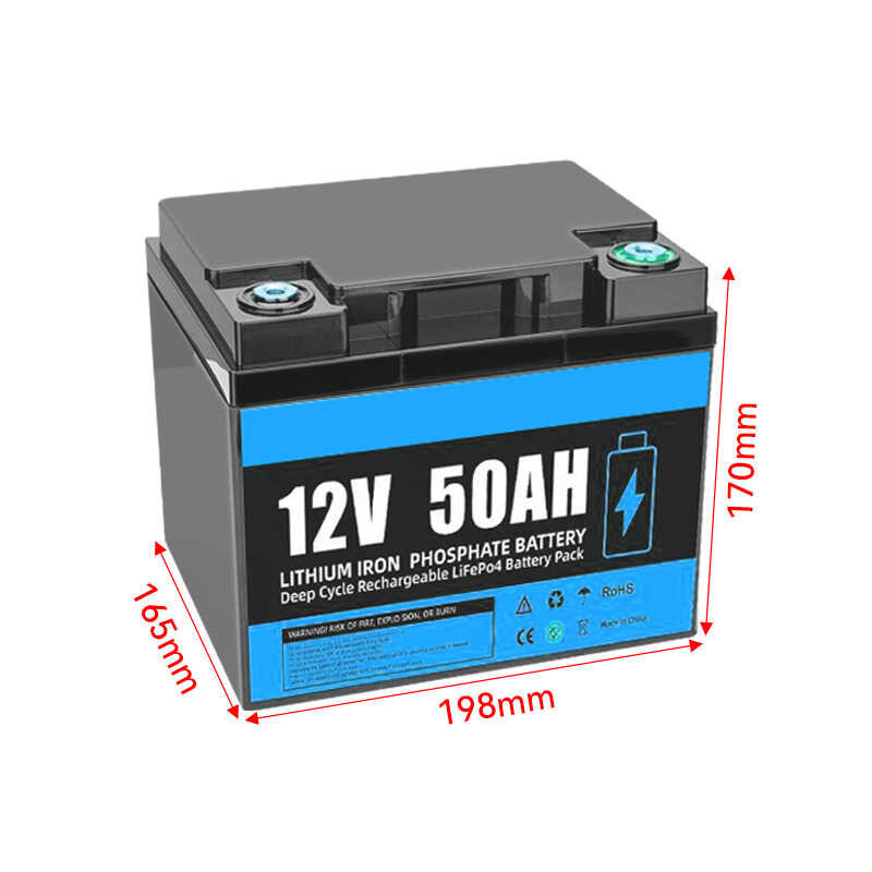 50Ah 12V Lifepo4 Battery Pack 12.8V 24V 100Ah 200Ah 300Ah | Shopee ...