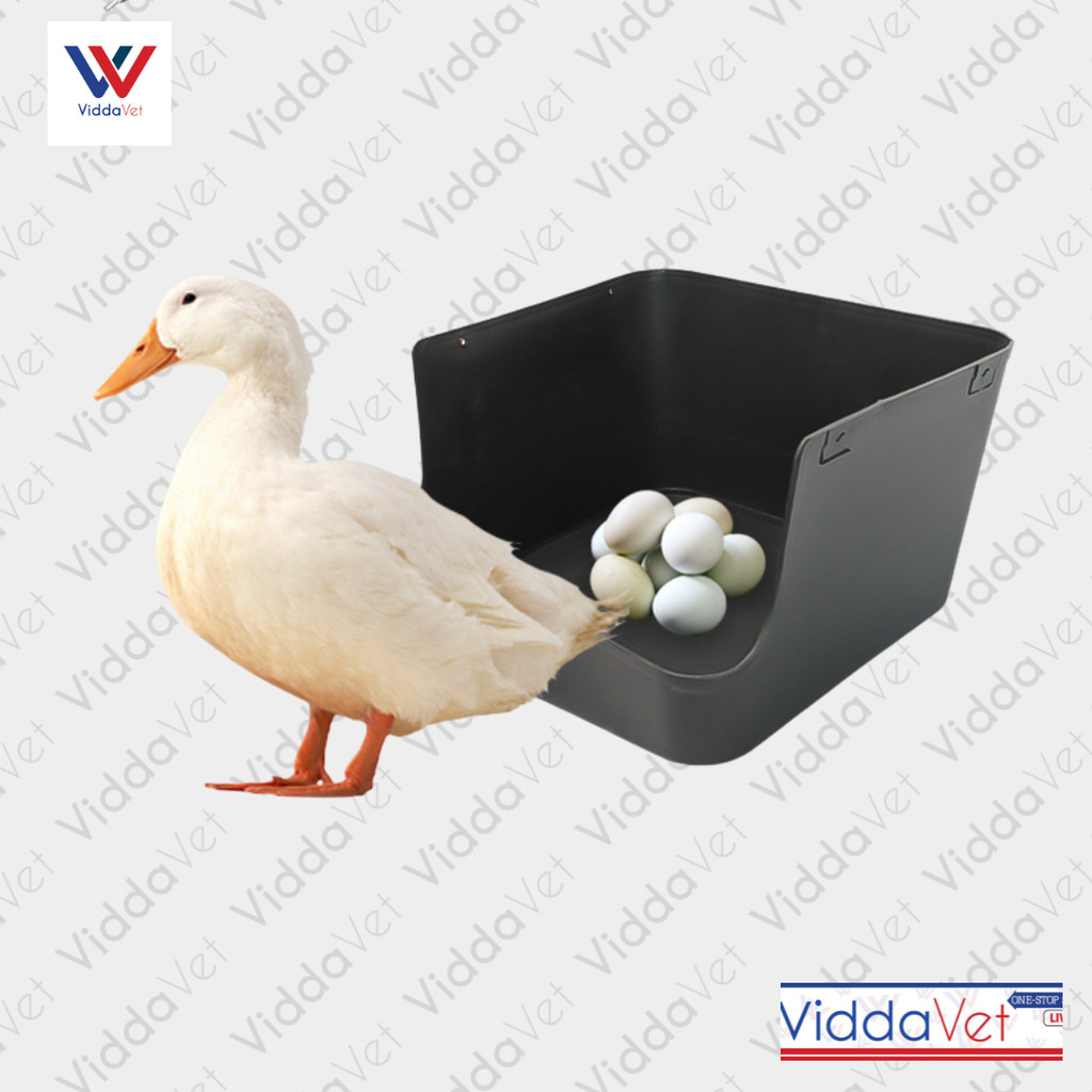 Duck Egg Laying Nest Box Egg Nest Box for Poultry Farms duck laying ...