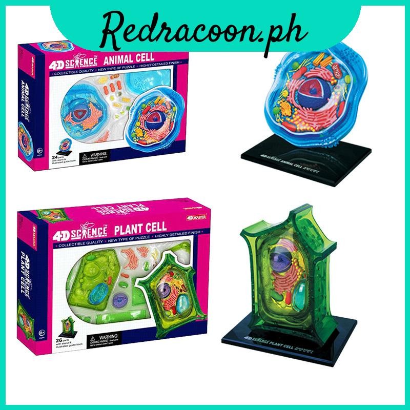 Master 4d Animal Cell Plant Cell Model Microstructure For Teaching ...