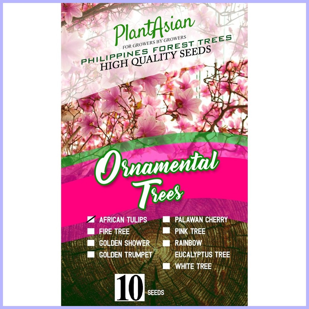 AFRICAN TULIPS TREE SEEDS 10 SEEDS | Shopee Philippines