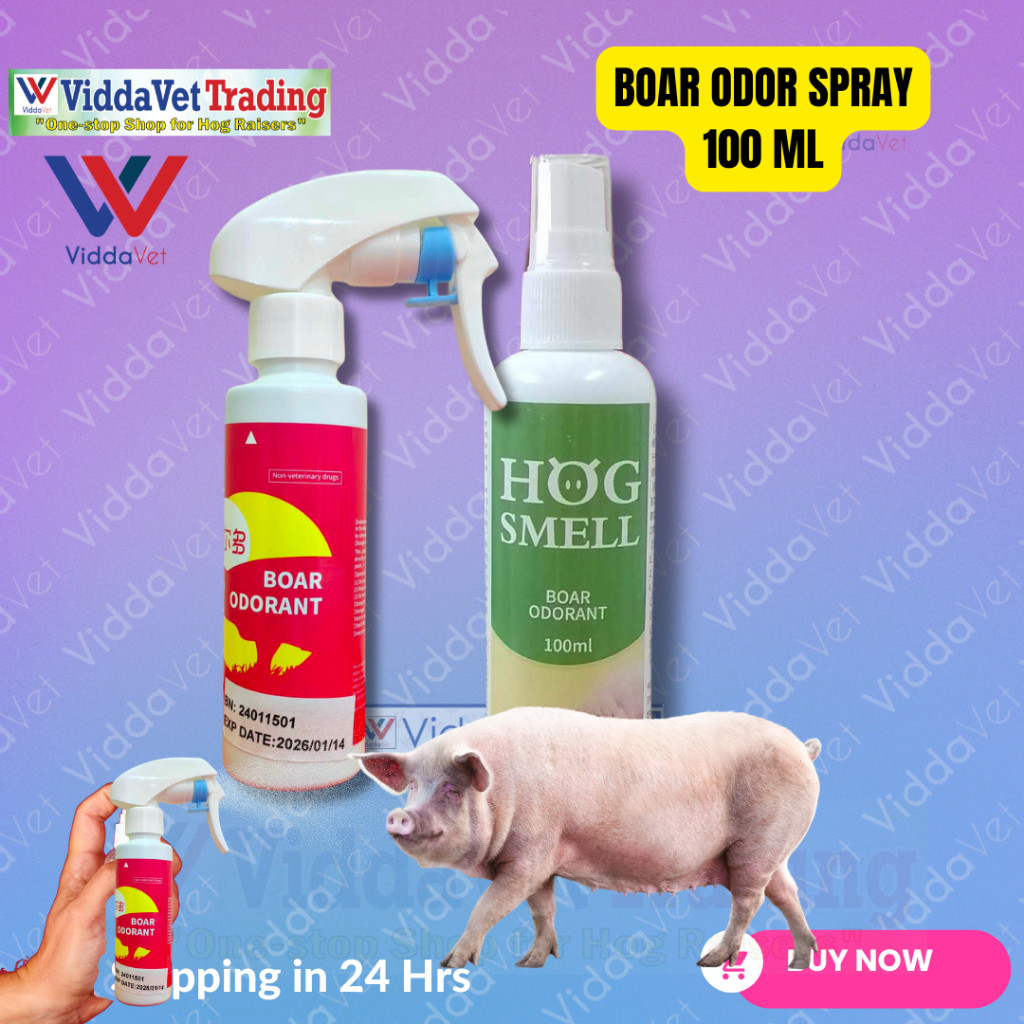 100 ml Boar odor spray boar viddavet hog mate boar odorant hog smell ...