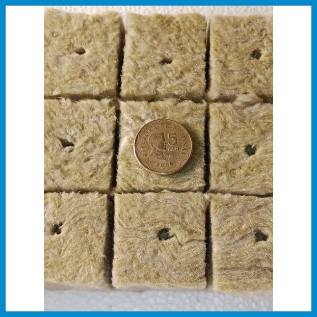 Rockwool for Hydroponics Grow Media 5x5x5cm | Shopee Philippines