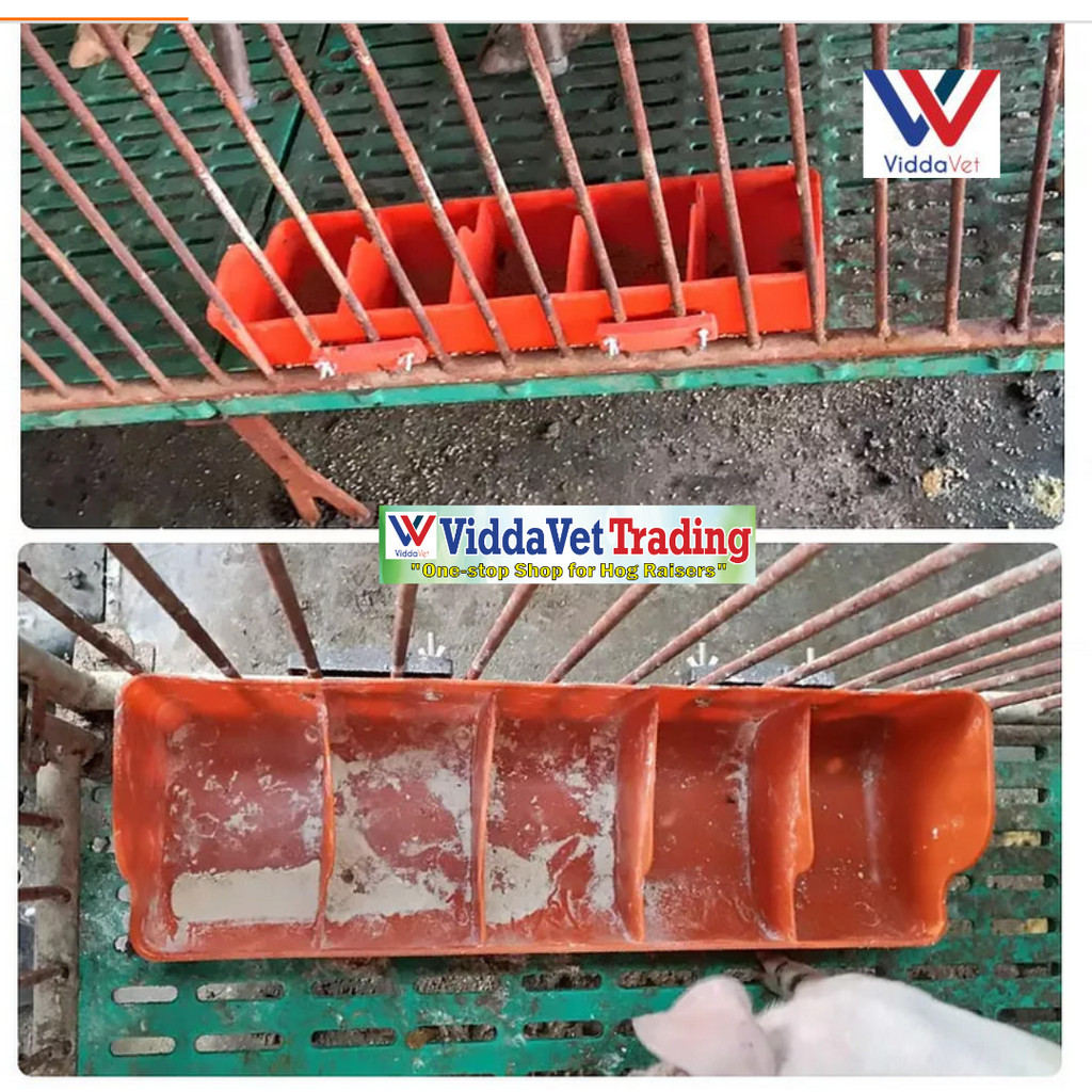 Orange 5 Slot Feeder for Pigs and Livestock Solusyon sa Mas Magaan na ...
