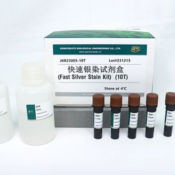 Silver Stain Kit Special Offer | Shopee Philippines