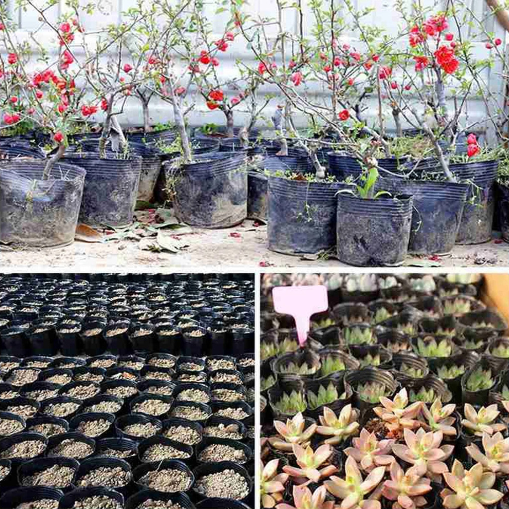 Durable Plant Propagation Nutrient Pots - Black Plastic Cups for ...