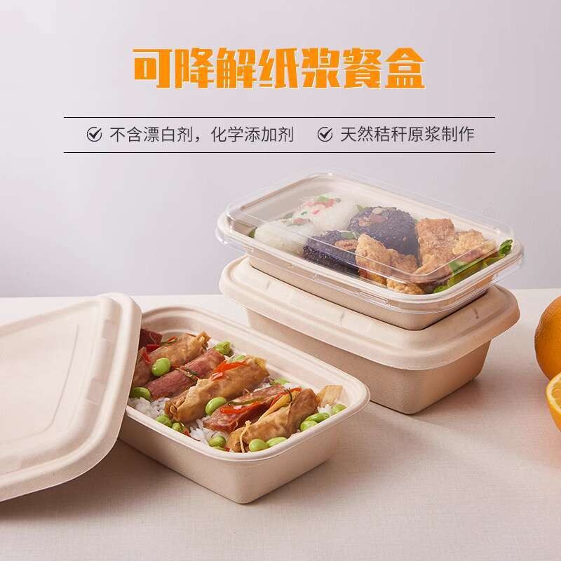 Disposable eco-friendly straw meal rectangular biodegradable pulp salad ...