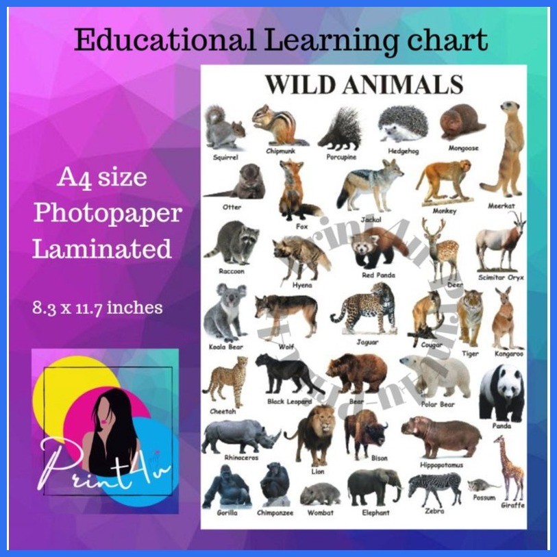 ¤ Wild Animals Kids educational chart Laminated - A4 | Shopee Philippines