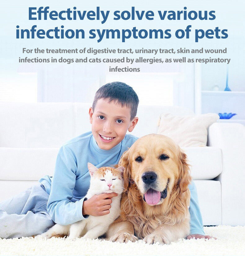 BAYTRIL Flavor Antibiotic Tablet for Dog and Cat for Post-operative ...