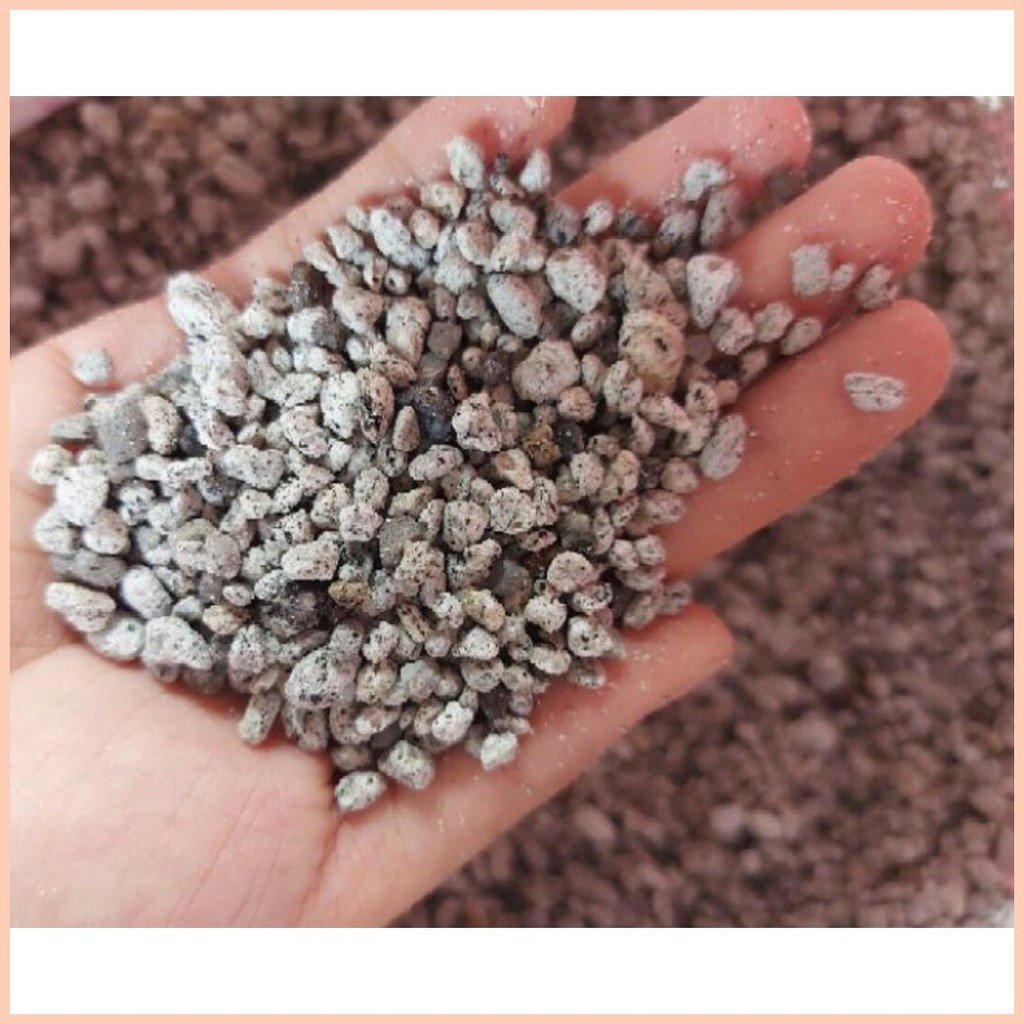 ⭐ High quality Pumice Stone ( Monggo Size ) for your lovely plants ...