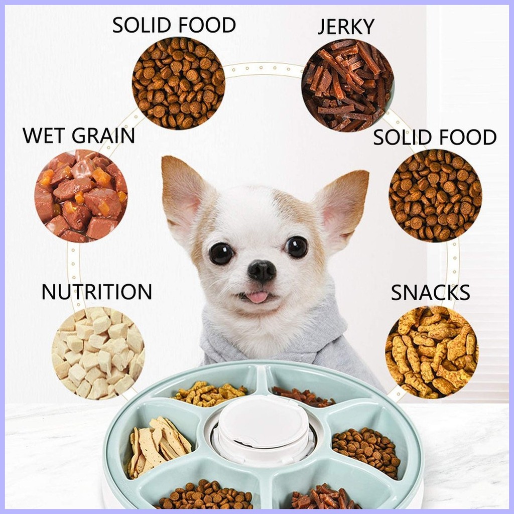 ⭐ Smart Pet Feeder Digital Timer Automatic Round Pet Feeder Meal Food ...